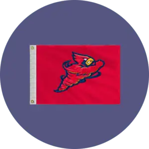 Home - custommadeflags